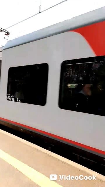 поезд ласточка Выборг - Санкт-Петербург проезжает станцию Озерки