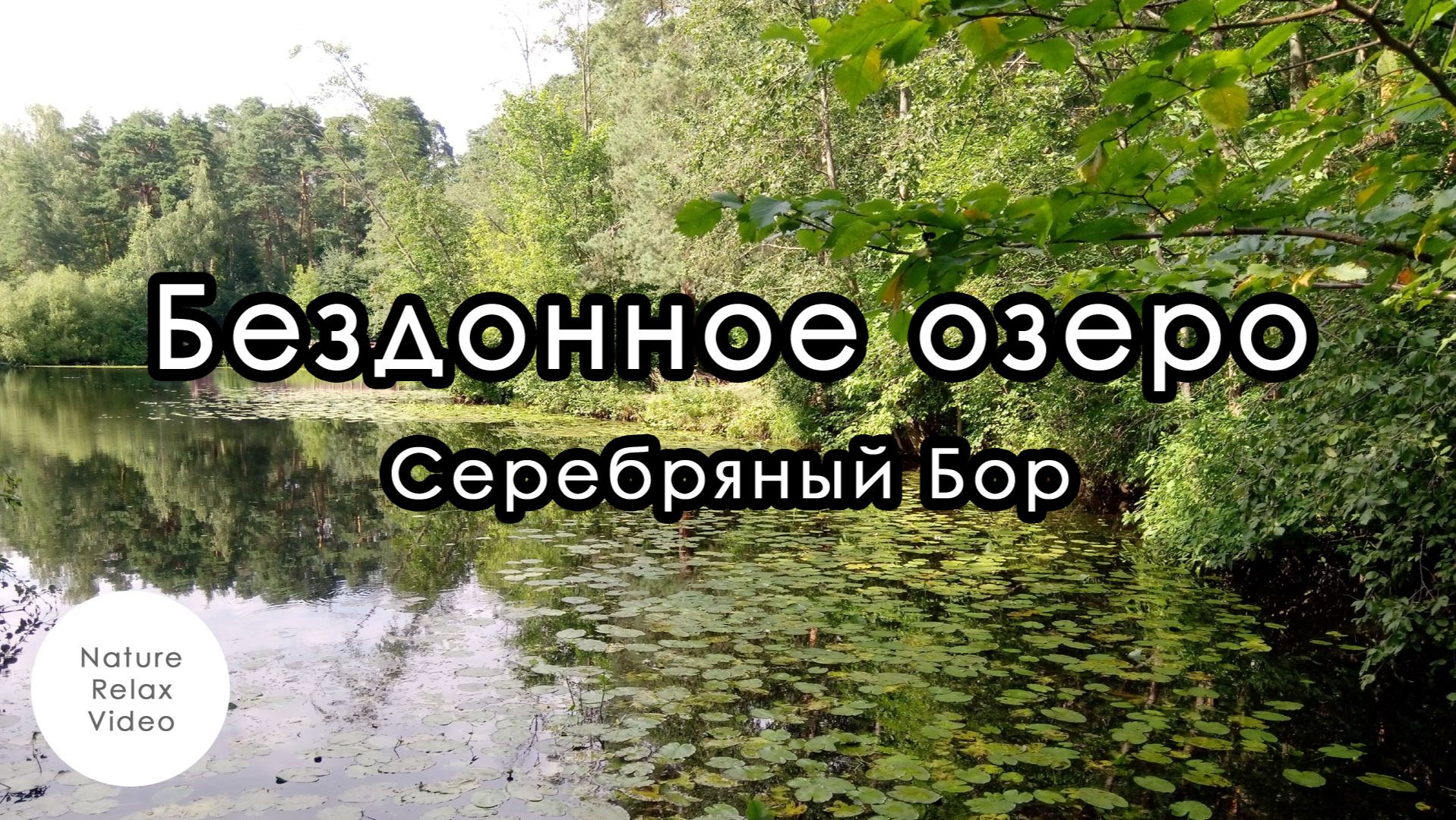 Бездонное озеро. Серебряный Бор. Nature relax version.