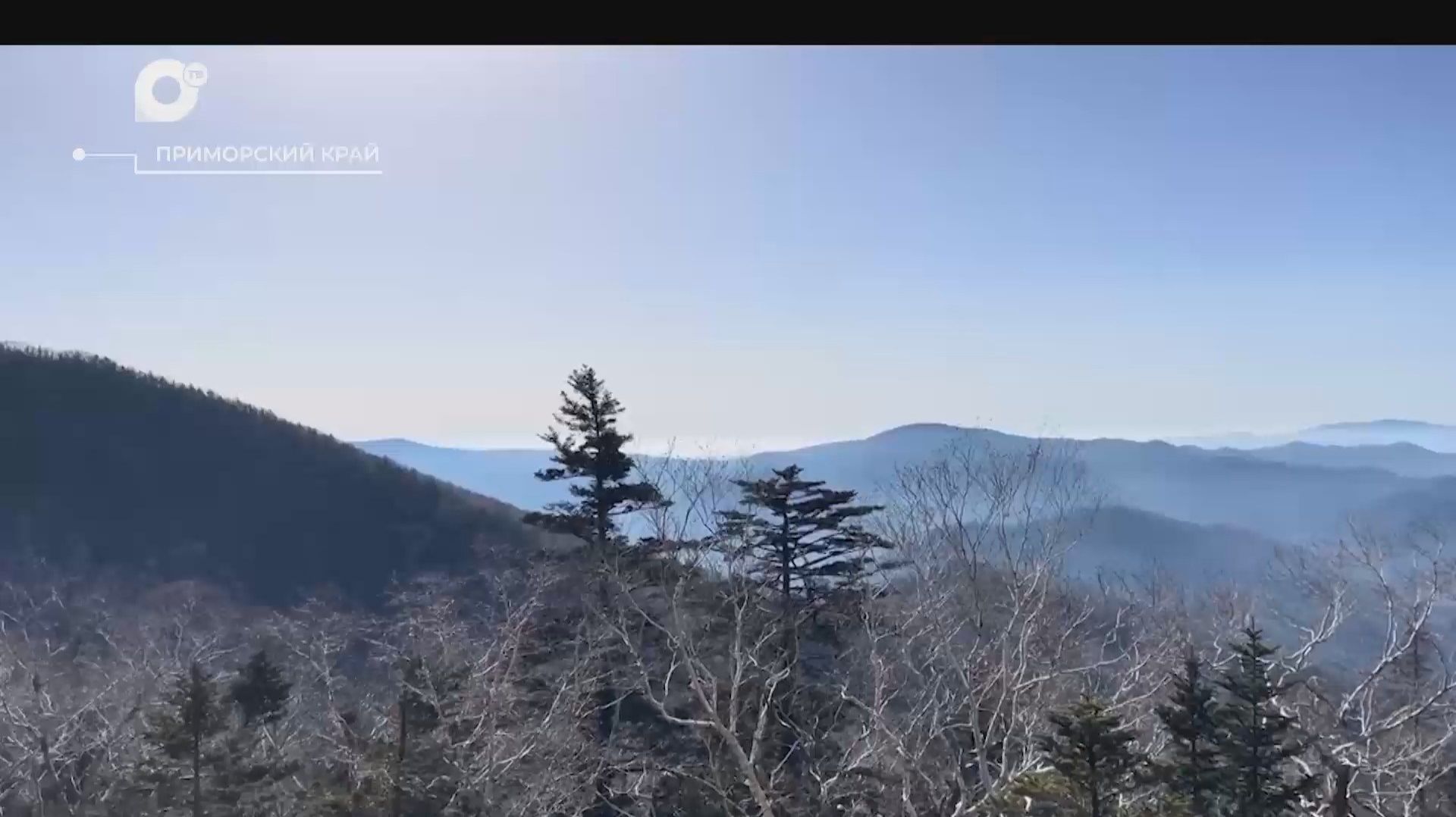 Разведка блогом / Гора Макарова / 25.11.2025