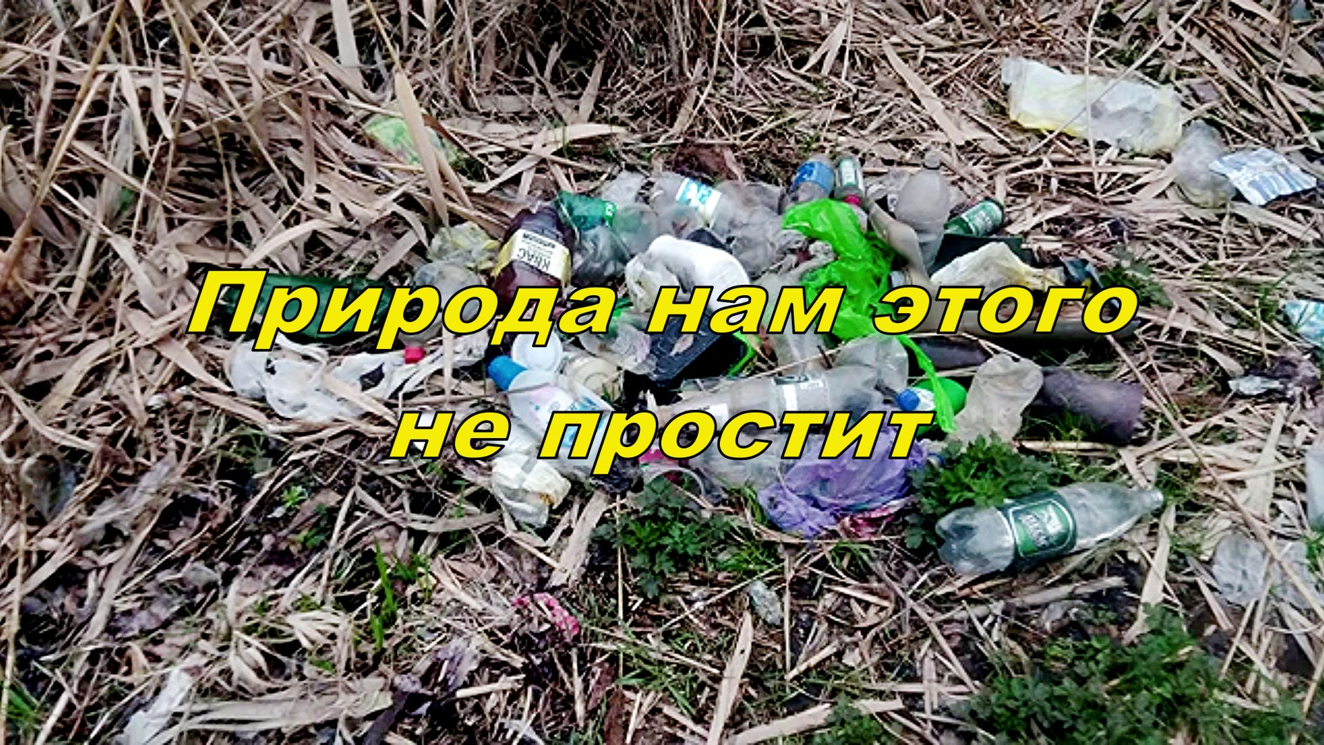 Природа нам этого не простит