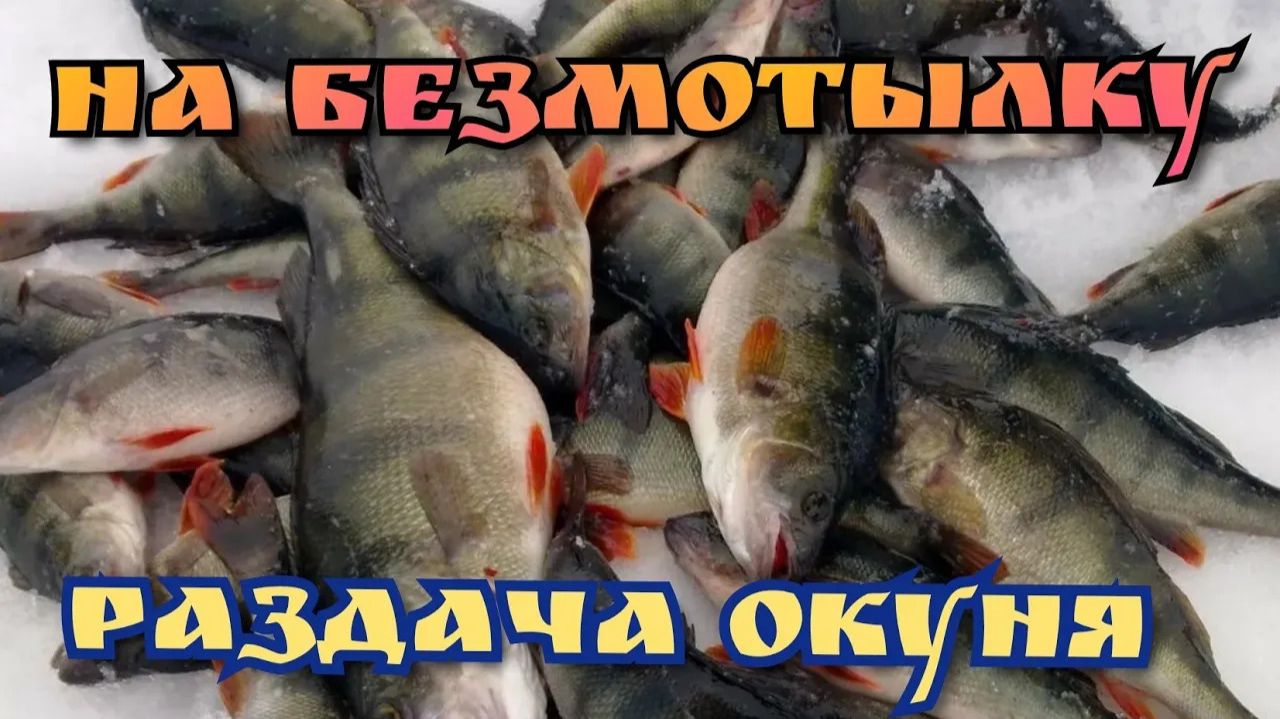 Безмотылка на оке, МОРМЫШКА!!! которая ВТОРОЙ ГОД косит ВСЁ ПОДРЯД
