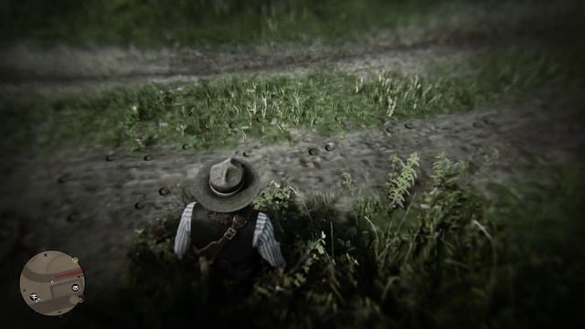 Red Dead Redemption 2 . Парламентеров не убивают