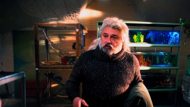 Шпак Света. Showreel