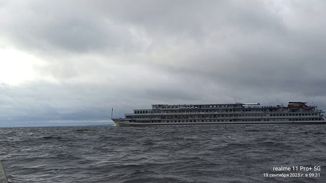 Неожиданная радость - напали на Белые грузди, сентябрь 2025