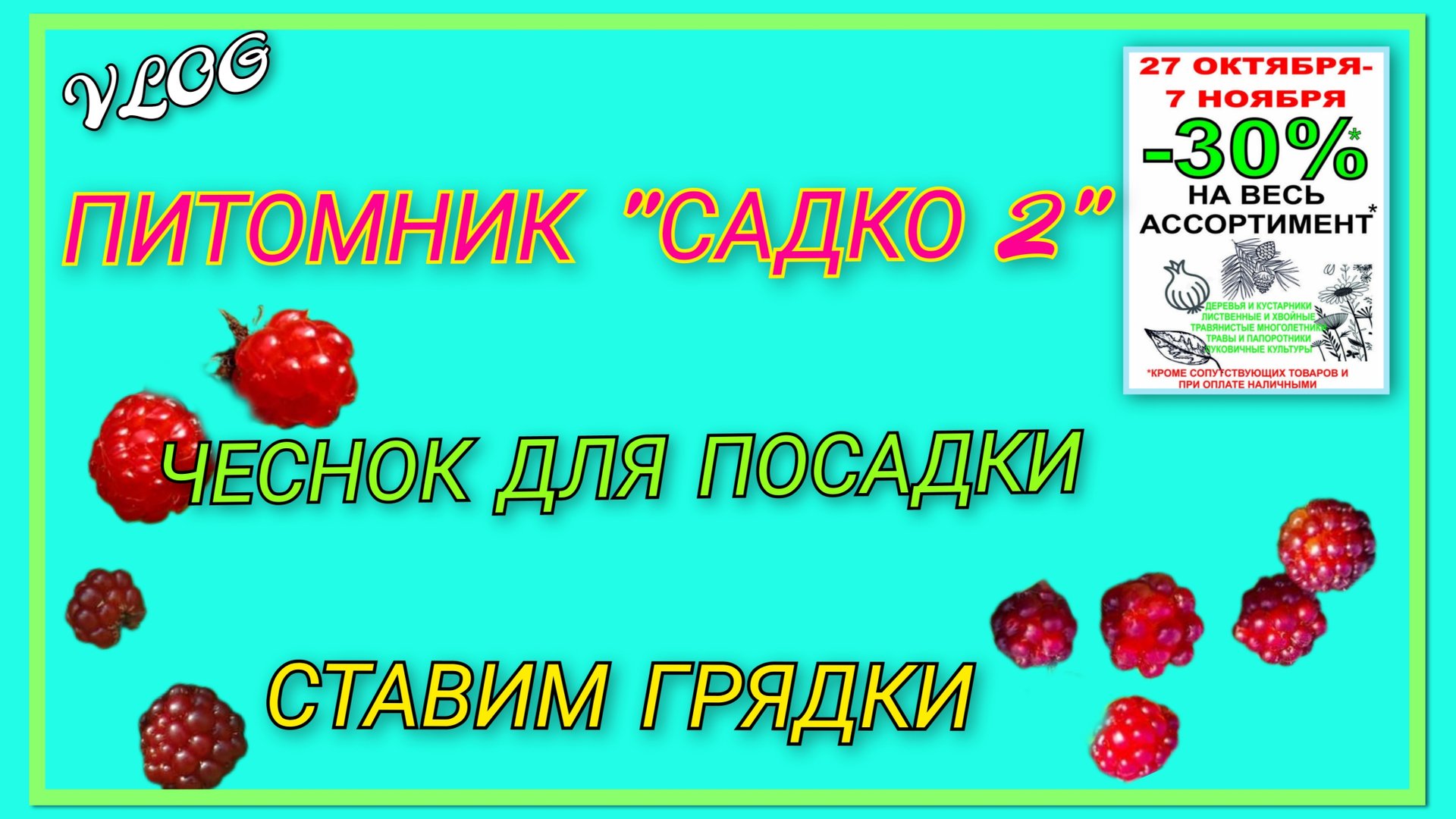 🍒 VLOG: Заехали в питомник Садко 2, наши приобретения/ Купили на рынке не лучший чеснок для посадки