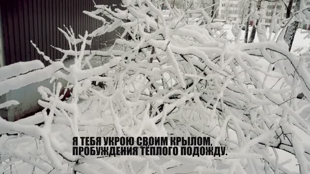 Ирина Брагина — Я тебя укрою свои крылом/ Авторская песня