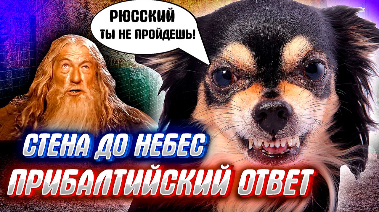 ПУТИН НЕ ПРОЙДЕТ! Прибалты сдержат агрессора "вибраниевой стеной", Трамп завидует молча!
