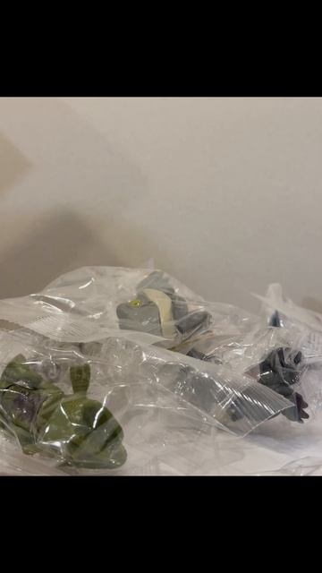 Меня укусил Динозавр