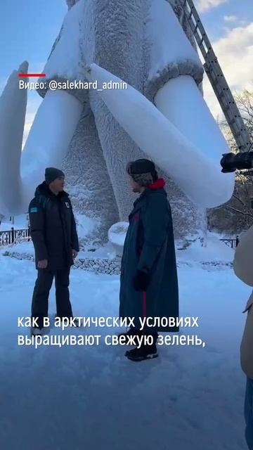 Окружную столицу покажут на федеральном канале