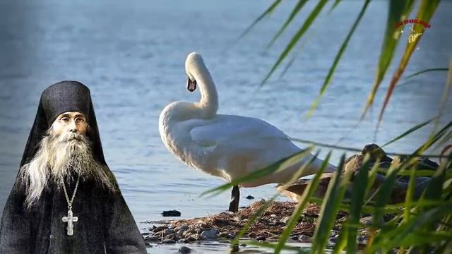 Истории и Наставления Варсонофия Оптинского