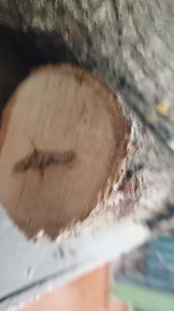 супер крутой эдит