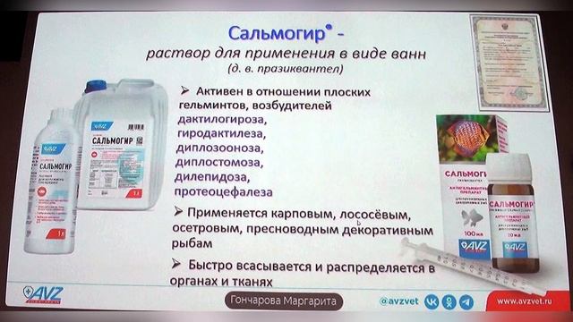 Сальмогир — новый лекарственный препарат против моногенеозов декоративных рыб Гончарова Маргарита