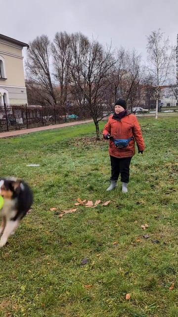 АО Лир - флип левый, флип правый