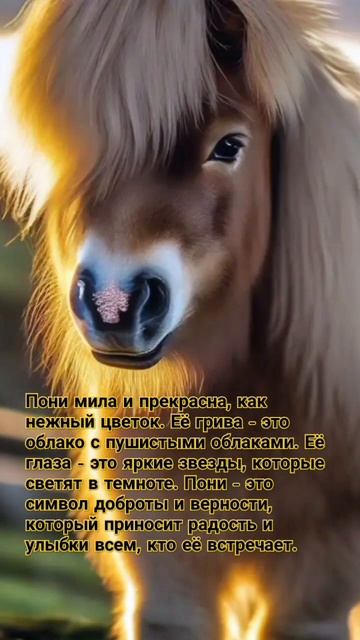 Пони это кто? Самая милая лошадь 🐎👍#цитата