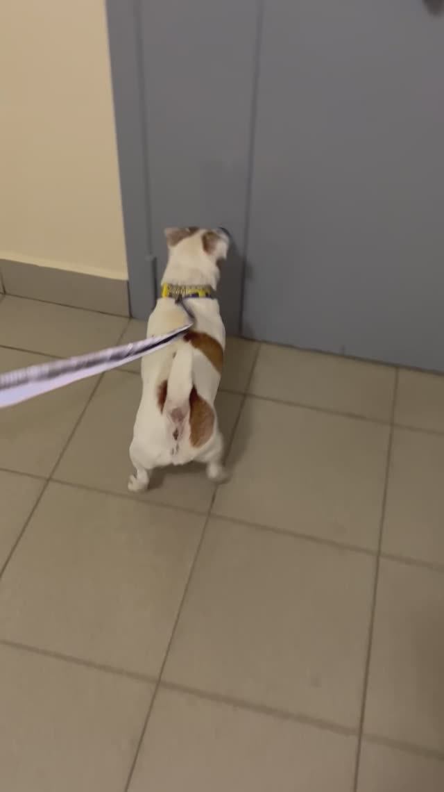 Когда кто-то зашел перед тобой в твои владения 😂