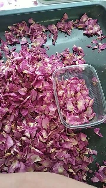 Чайная роза. 6 мая 2024 г. Фасую сухие лепестки.