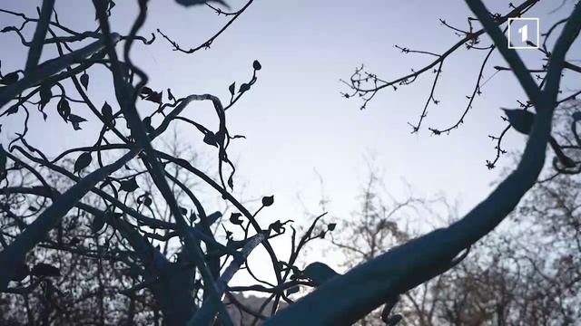 ⚡️В новом выпуске НАСТОЯЩИХ Елена Никитина вновь затронет тему женщины на войне.