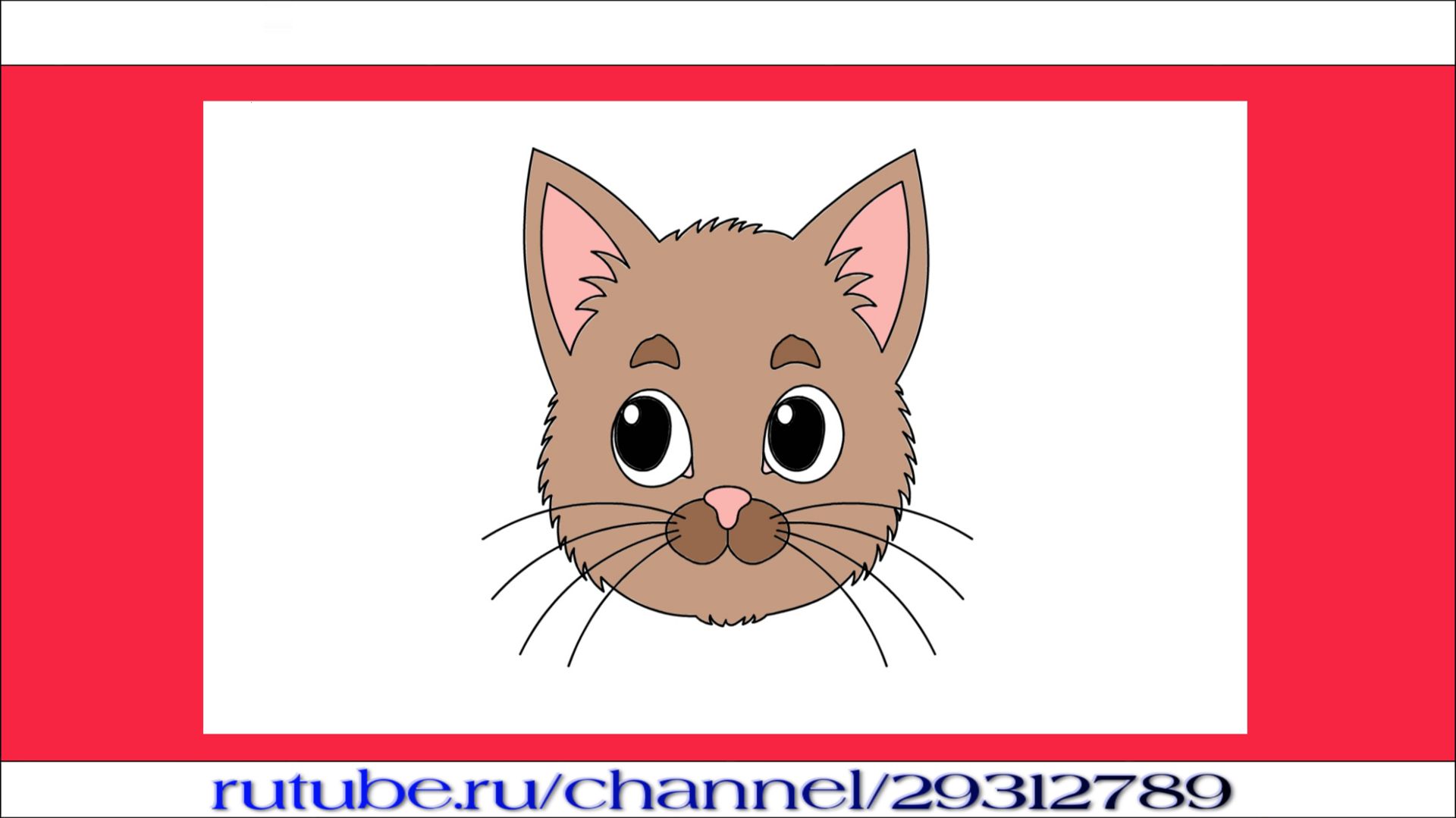 Как нарисовать мордочку котенка