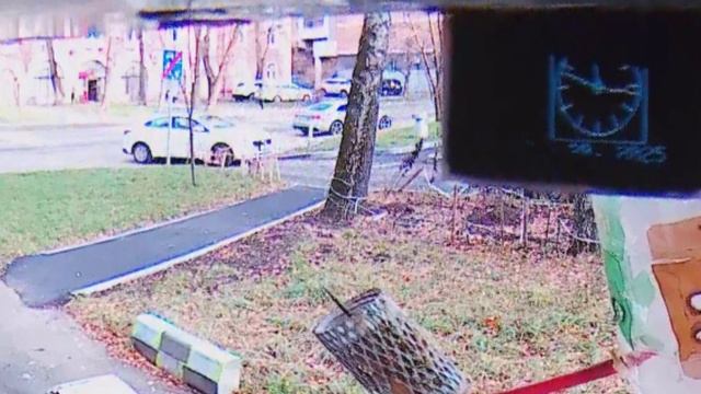 В генеральную прокуратуру РФ Нарушения ПДД и САНПИН