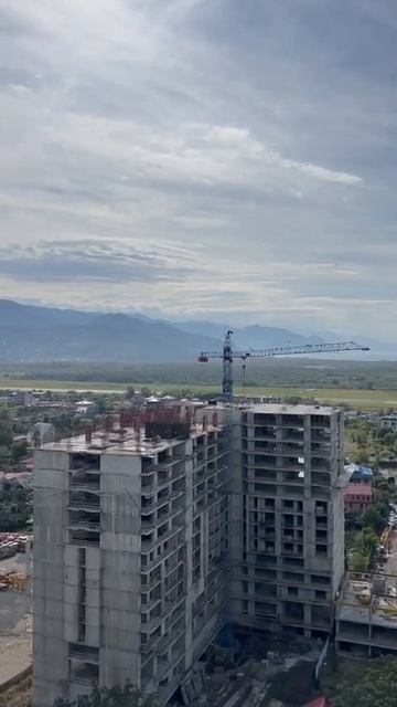 виды Prime Premier