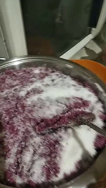 Открытие сезона обработки Rosa centifolia. 26 мая 2025 г.