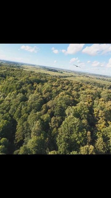 Sky Unseen 2K | Cinematic FPV (Squeeze of All Year ) №2