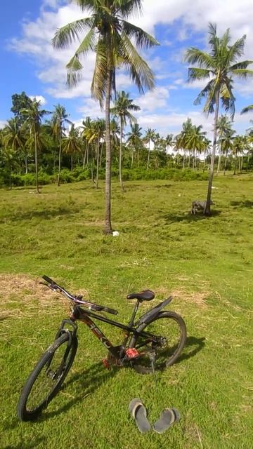 Велик, полянка, хорошее начало рабочего дня #филиппины #семьявместе #жизньнафилиппинах