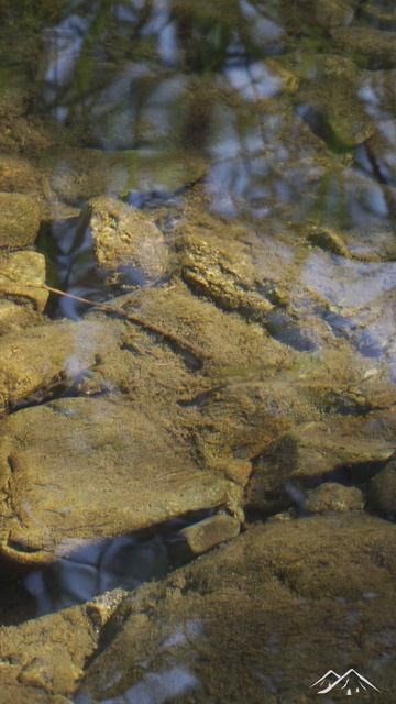 Mikhalych creek -  ручей Михалыч