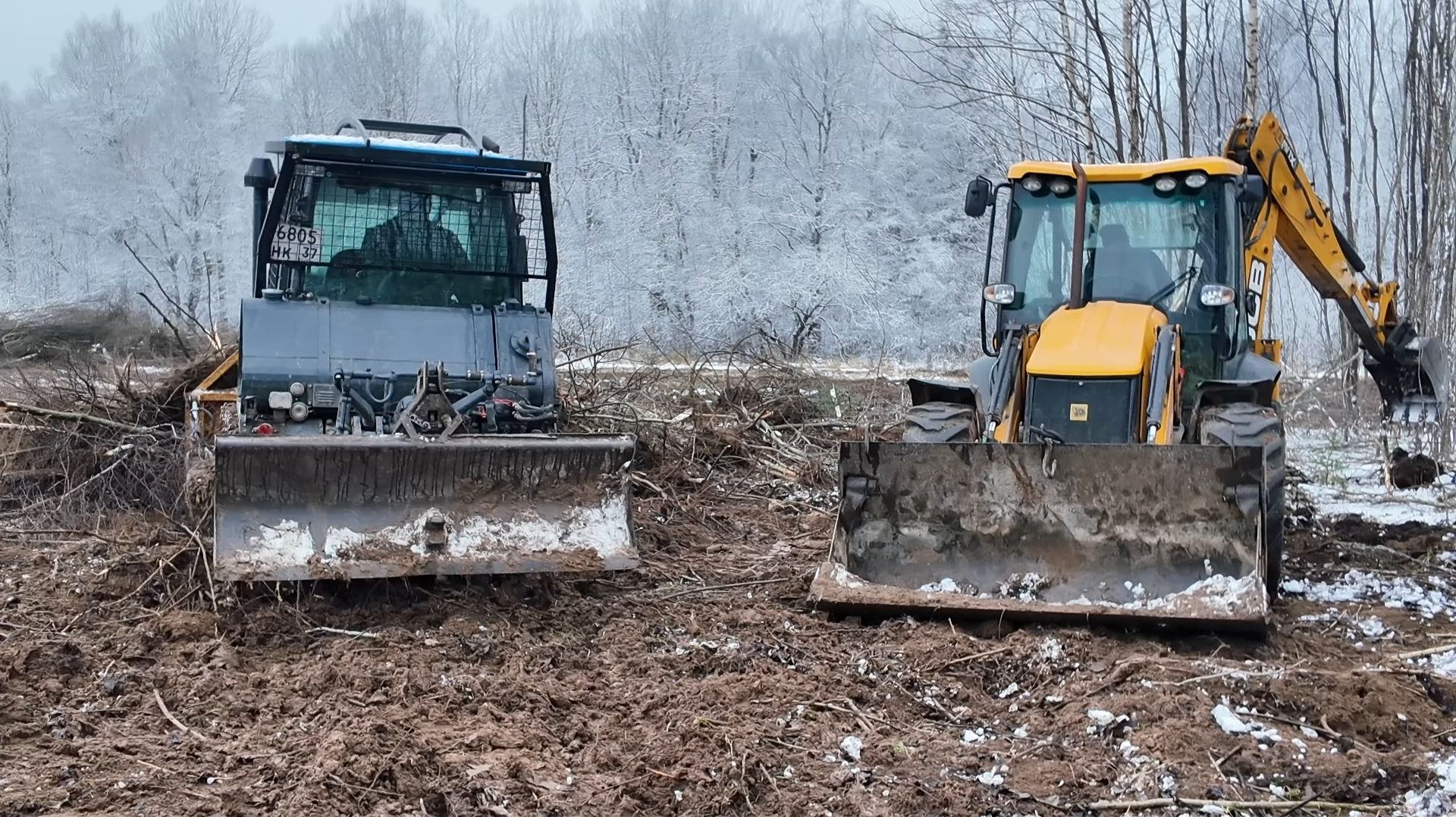 Москвичка осваивает брошенные земли и выращивает органический картофель