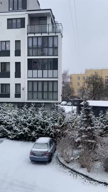 Первый снег в Калининграде