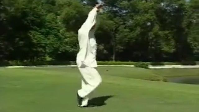 Ли Чжэн Демонстрация варианта линейной тренировки в Тайцзицюань