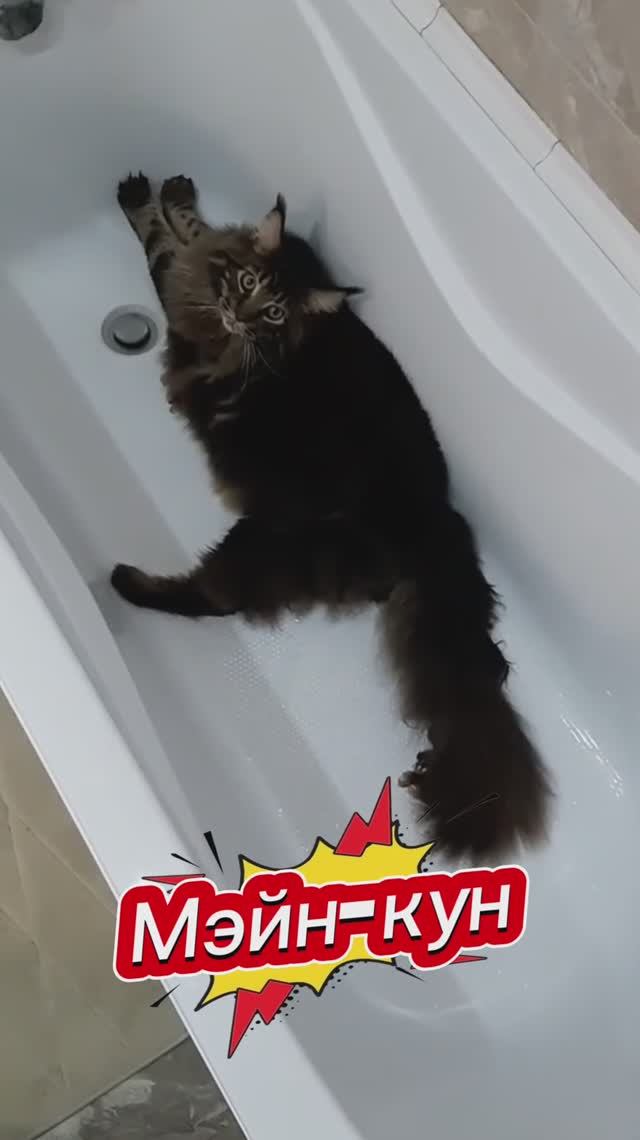 😾 Элегантно, со вкусом...