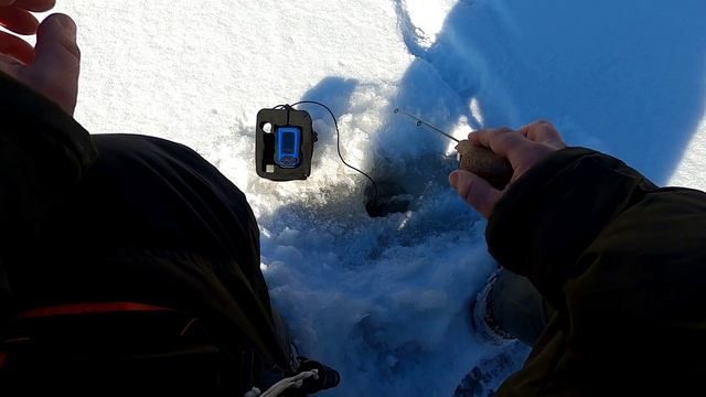 Подмосковье. Озернинское водохранилище и окунь на блесну