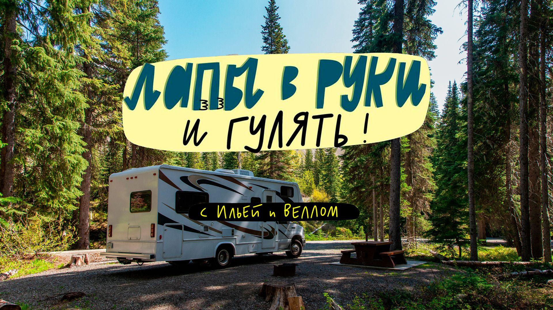 Лапы в руки и гулять! С Ильёй и Веллом🐶