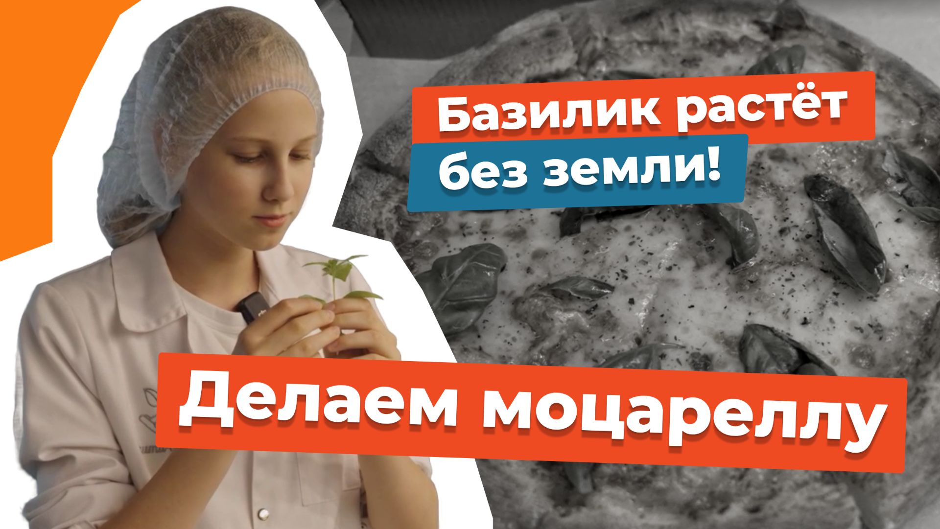 Инженеры нашего времени: инженер-фудтехнолог