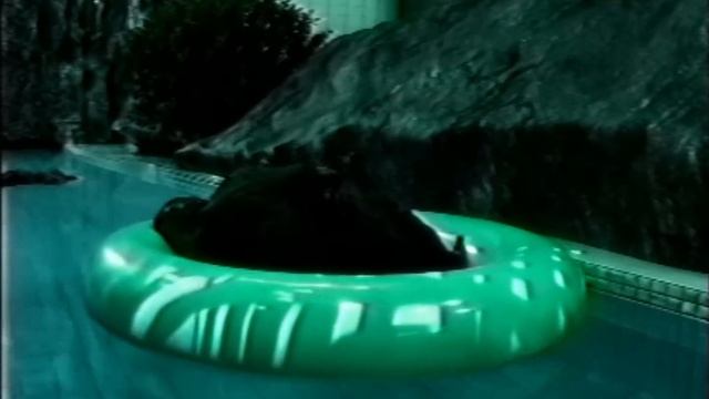 Backrooms 17 - The infiltration (found footage)