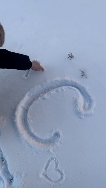 Поздравление с днем преподавателя высшей школы от Студенческого совета общежития