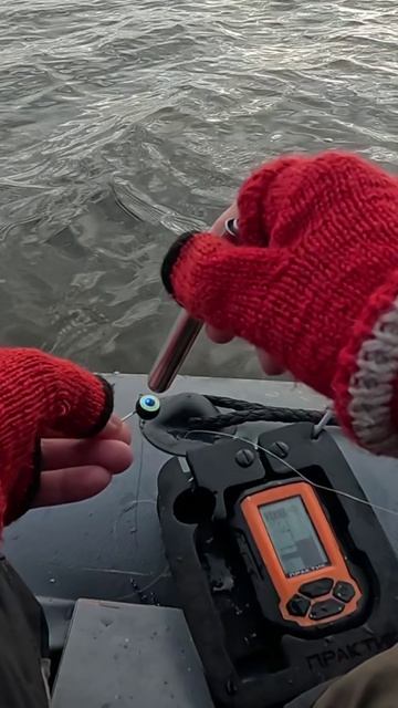 С ультрафиолетом на берша!