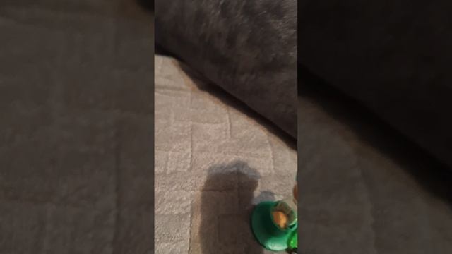 фильм монстр в пешере часть 1