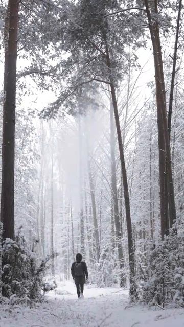 ЗИМНЯЯ КВИНТА часть 2.