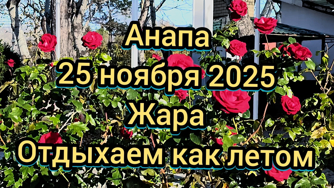 80 #Анапа #райназемле #летопродолжается #жараморе 26-11-2025
