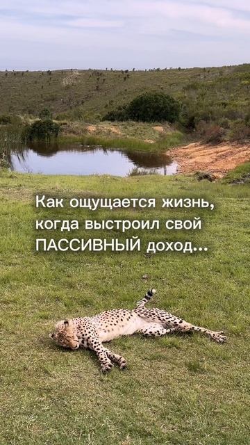 Какую жизнь живешь ты?