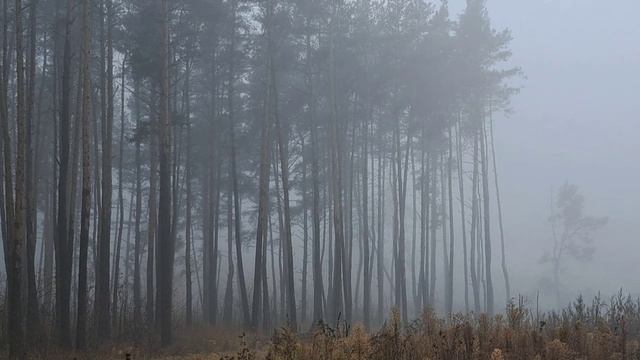 Иеромонах Роман, Предрассветное
