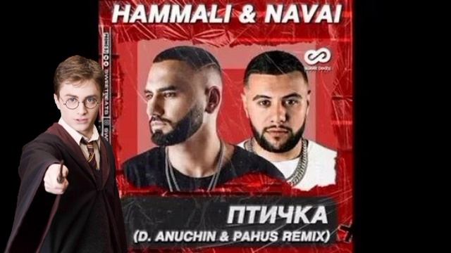 Гарри Поттер спел Птичка Hammail & Naval