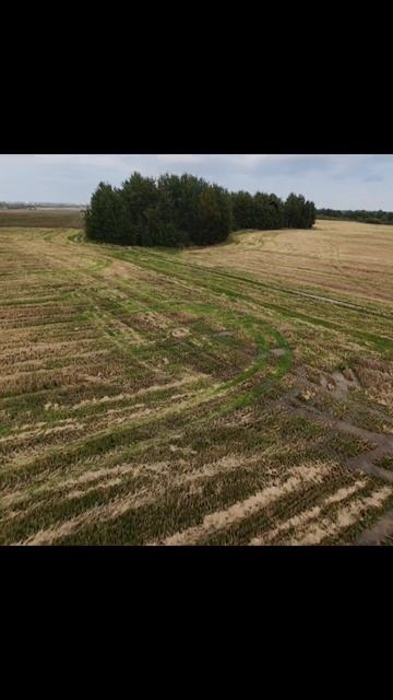 Sky Unseen 2K | Cinematic FPV (Squeeze of All Year ) №4