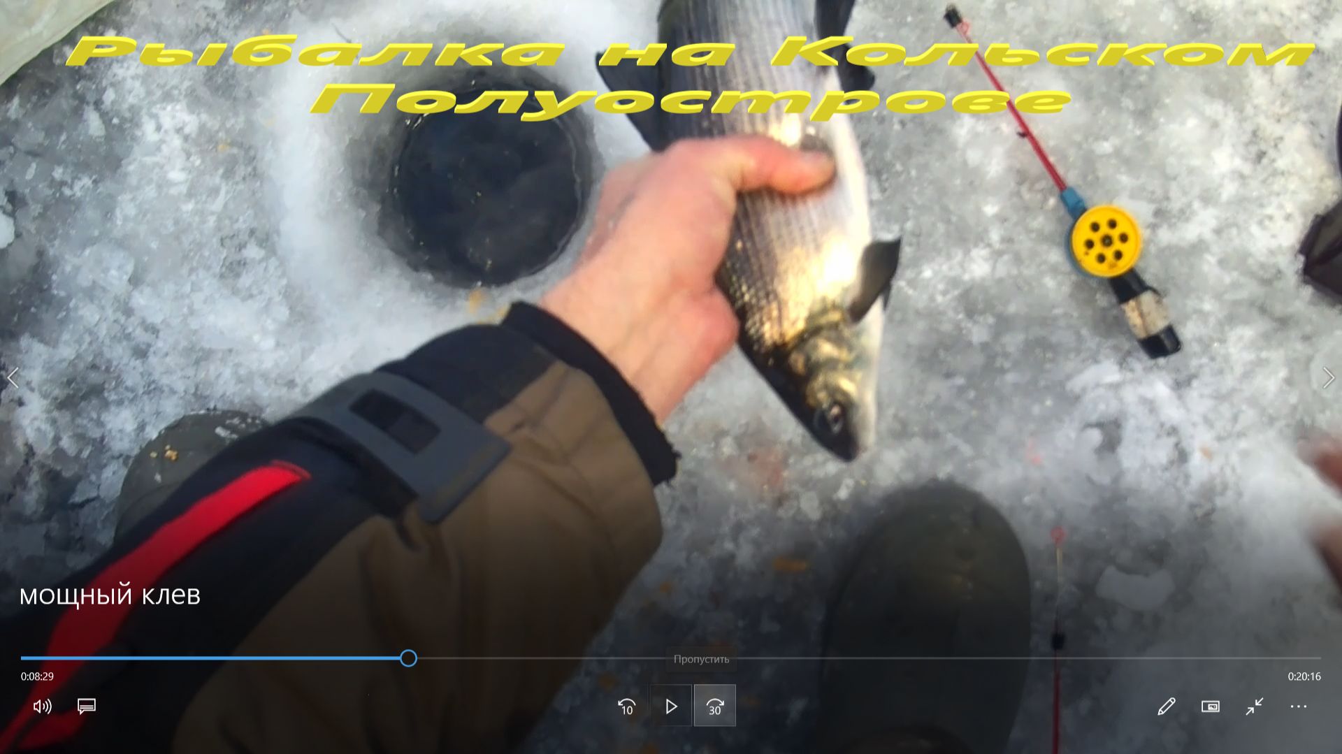 Мощный клев. Ловим сига на озере.