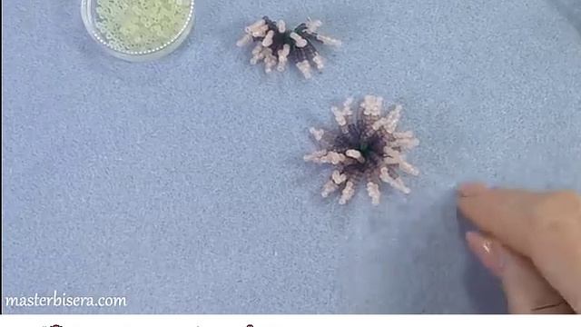 Запись_2025_11_26_11_10_43_748