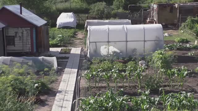 Как сделать удобные грядки