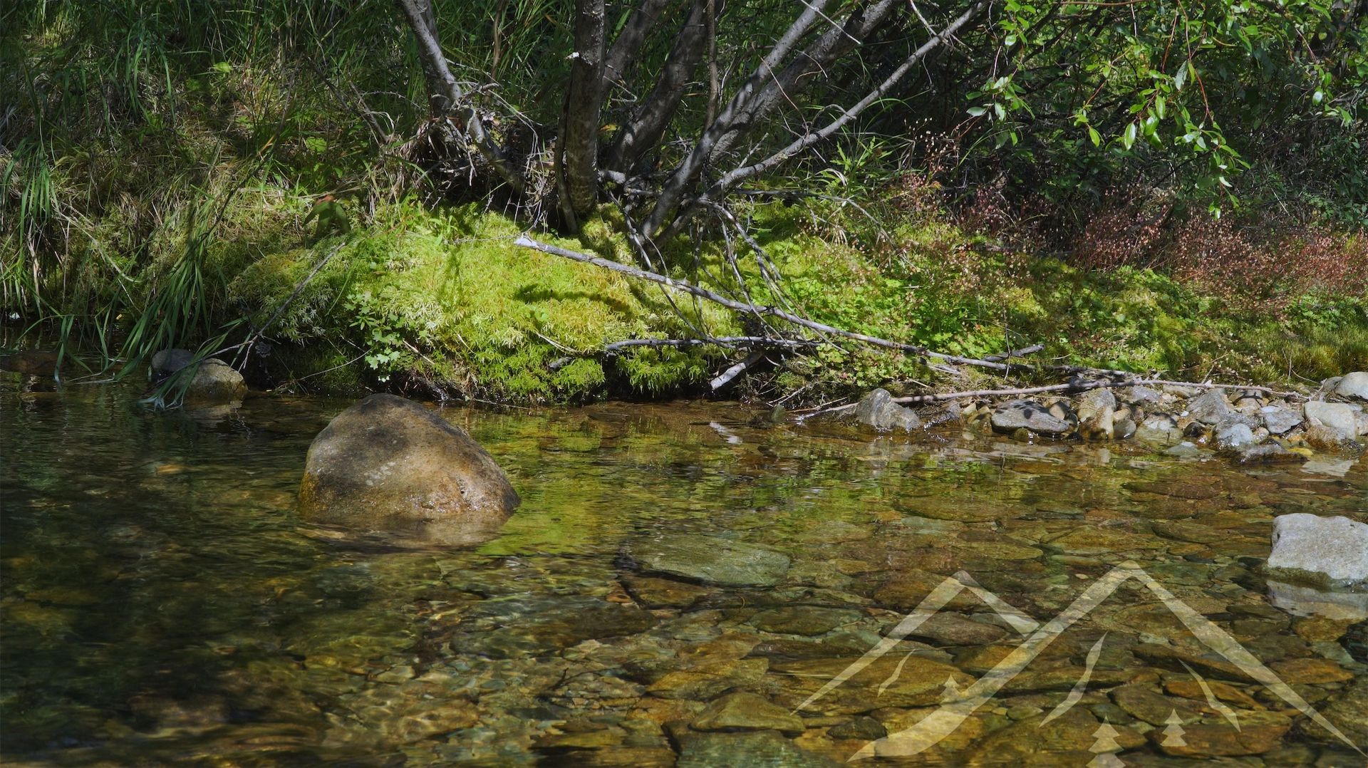 Russia, Magadan region, Mikhalych creek | Магаданская область, ручей Михалыч, 2023г.