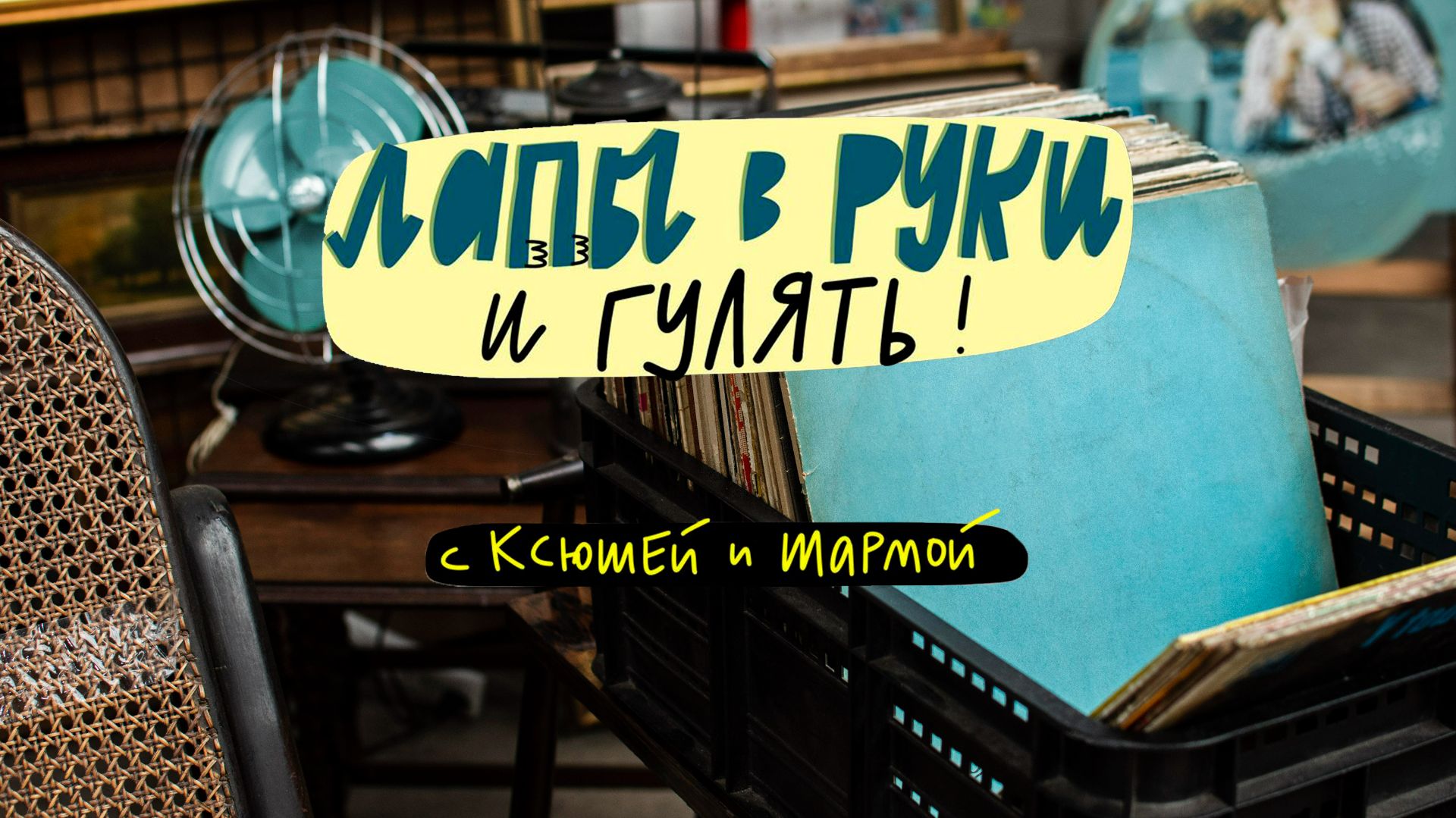 Лапы в руки и гулять! С Ксюшей и Шармой🐶